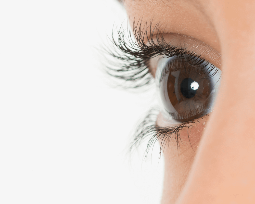 A behind-the-scenes look at lashes factory in the eyelash industry